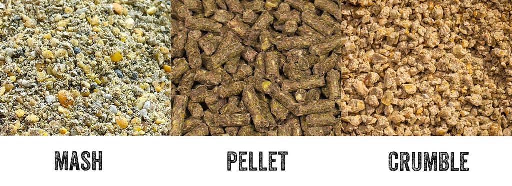 Understanding Animal Feed: Mash, Pellet, and Crumble Forms Explained ...