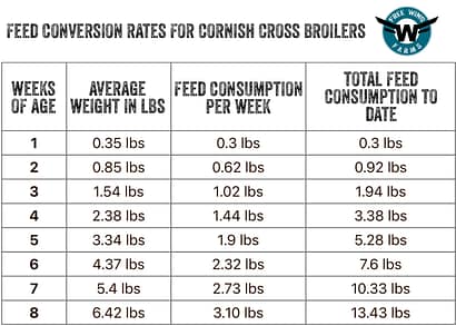 Feeding Recommendations for Cornish Cross Birds: From Hatch to ...