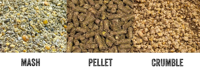 Understanding Animal Feed: Mash, Pellet, and Crumble Forms Explained ...