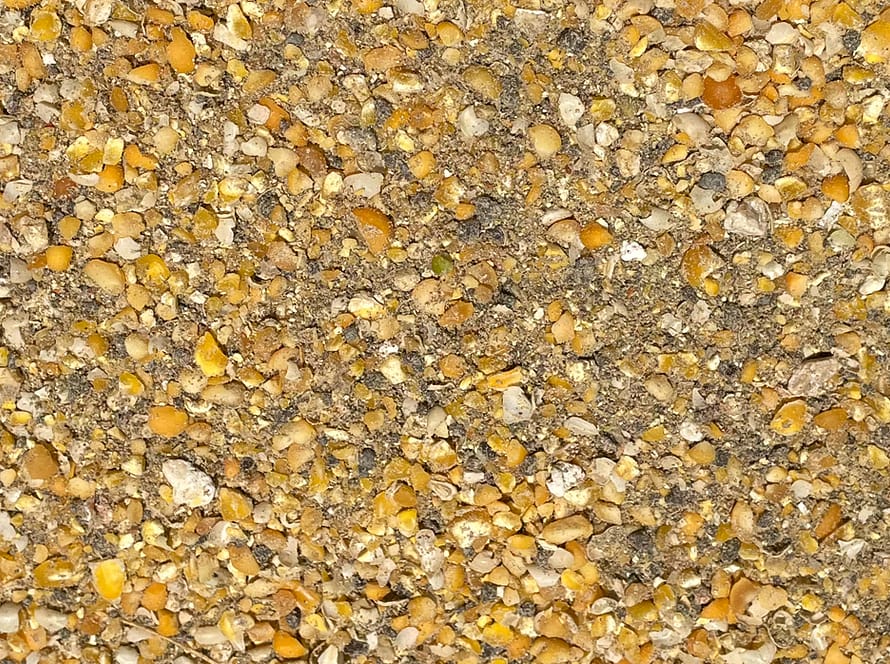 Nurturing Nature's Bounty: The Journey to USDA Certified Organic and ...